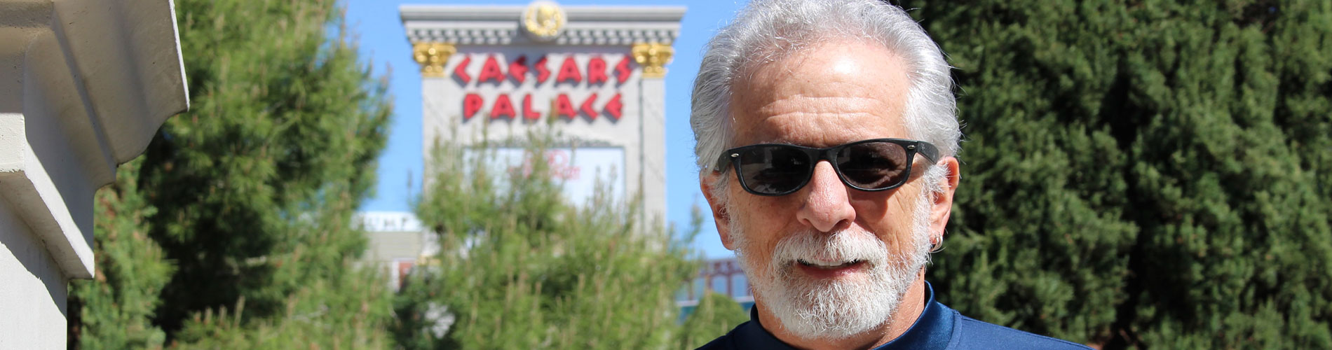 Steve Piscitelli - Facilitator • Author